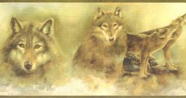 Wolf Wallpaper Border OSP35501B