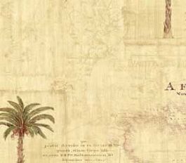 Palm Tree With Old World Map Wallpaper
