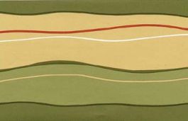 Army Green Green Wavy Wallpaper Border GU79228