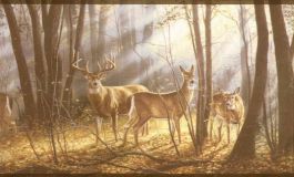 Deer Forest Scene Wallpaper Border WD4100B