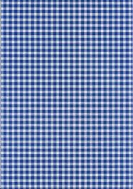 Gingham Blue Country Wallpaper CN1240