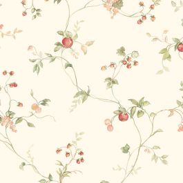 Mini Fruit Trail Wallpaper KC28535 Norwall