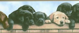 WT1038BCS Labrador and Retriever Puppies Wallpaper Border