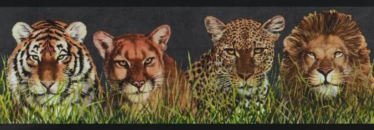 Tiger Wallpaper Border