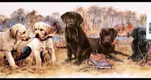 Labrador Retriever Wallpaper Border