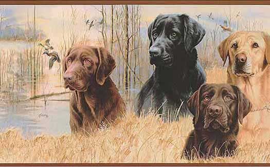 Brown Labradors Wall Paper Border | Wallpaper & Border