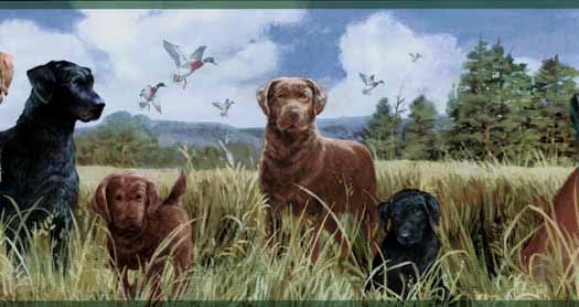 Green Labradors in a Field Wallpaper Border